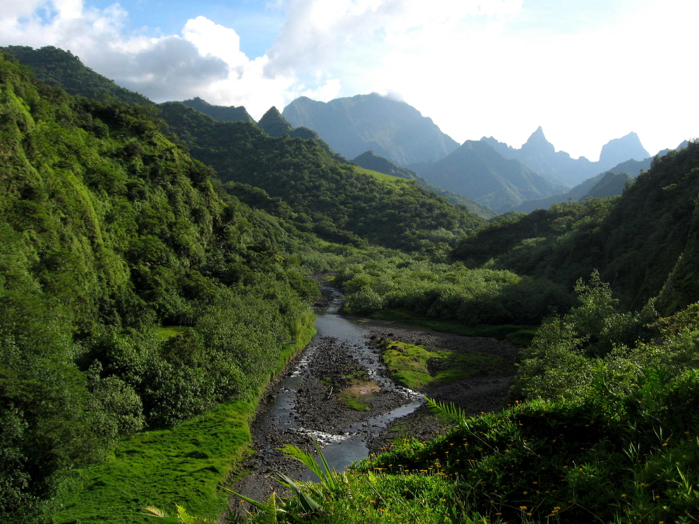 Tahiti Gorgeous Valley 2 | (so much world, so little time....)