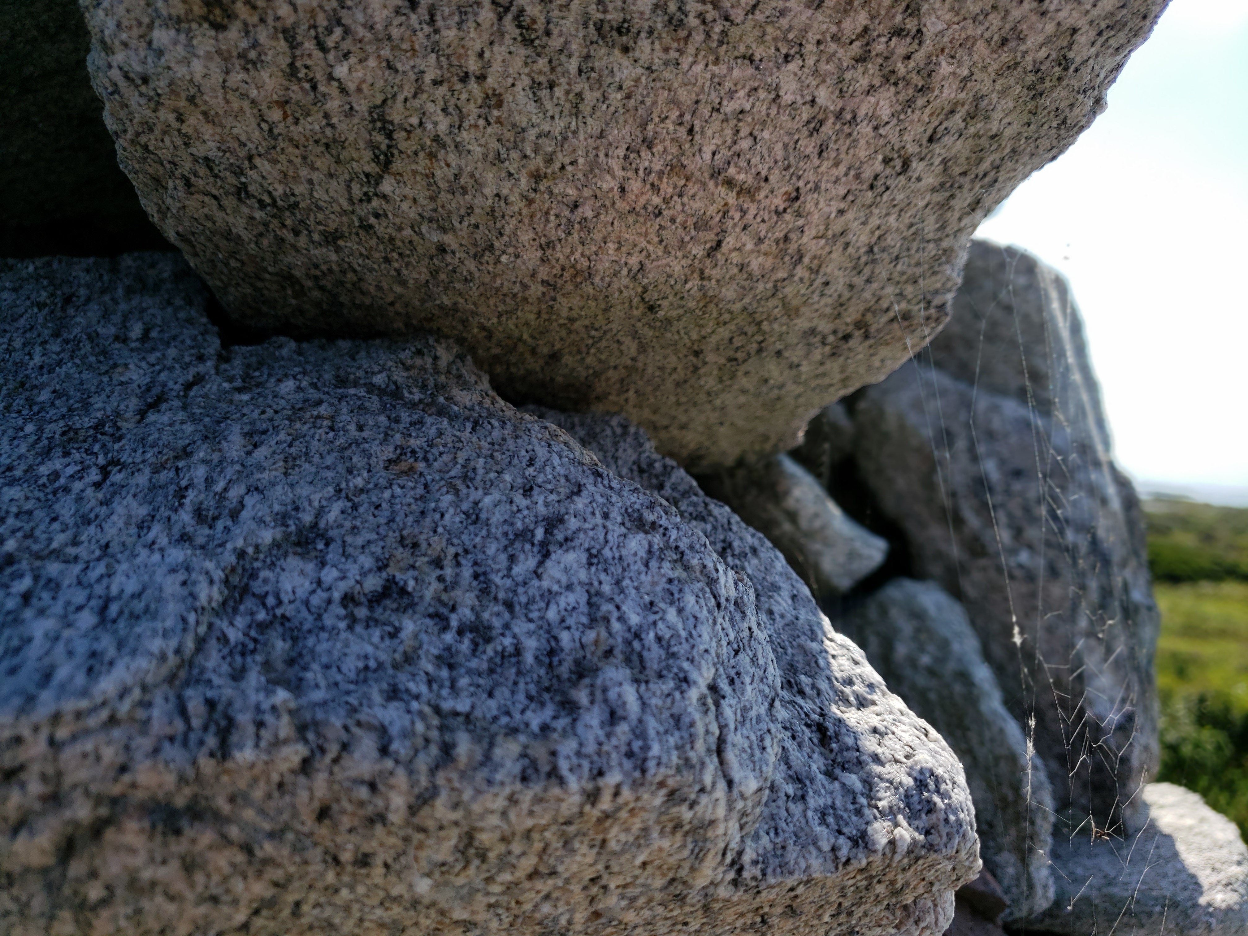 Rock & Spiderweb | (so much world, so little time....)