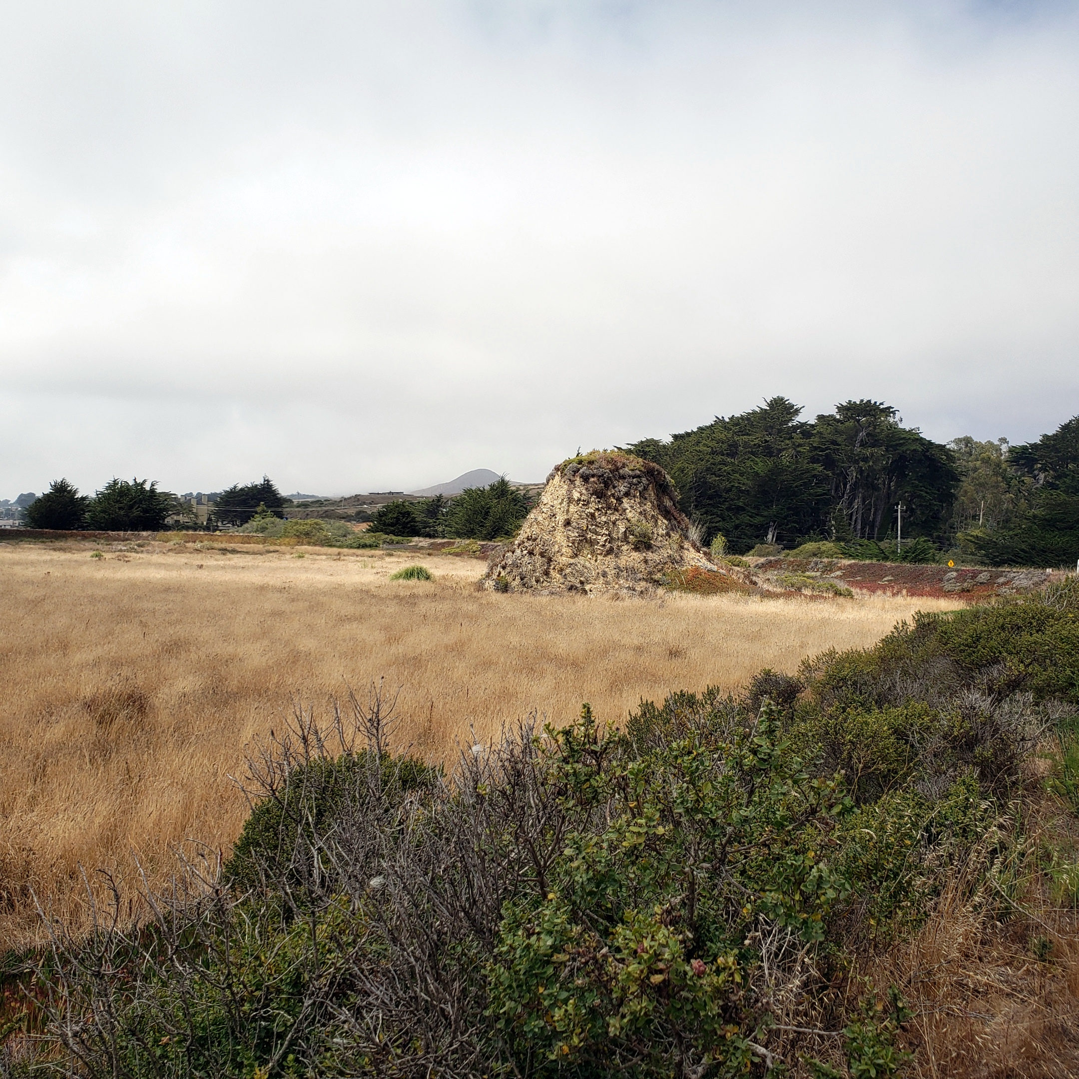 Doran Regional Park | (so much world, so little time....)